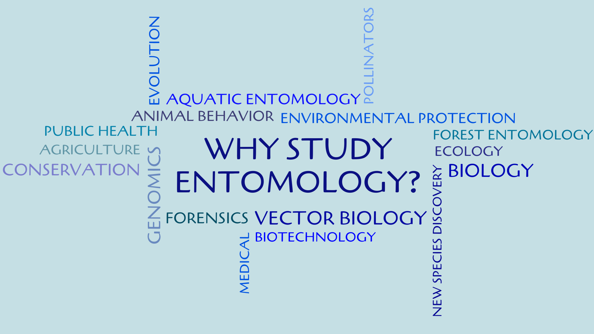 Undergraduate | Entomology and Nematology